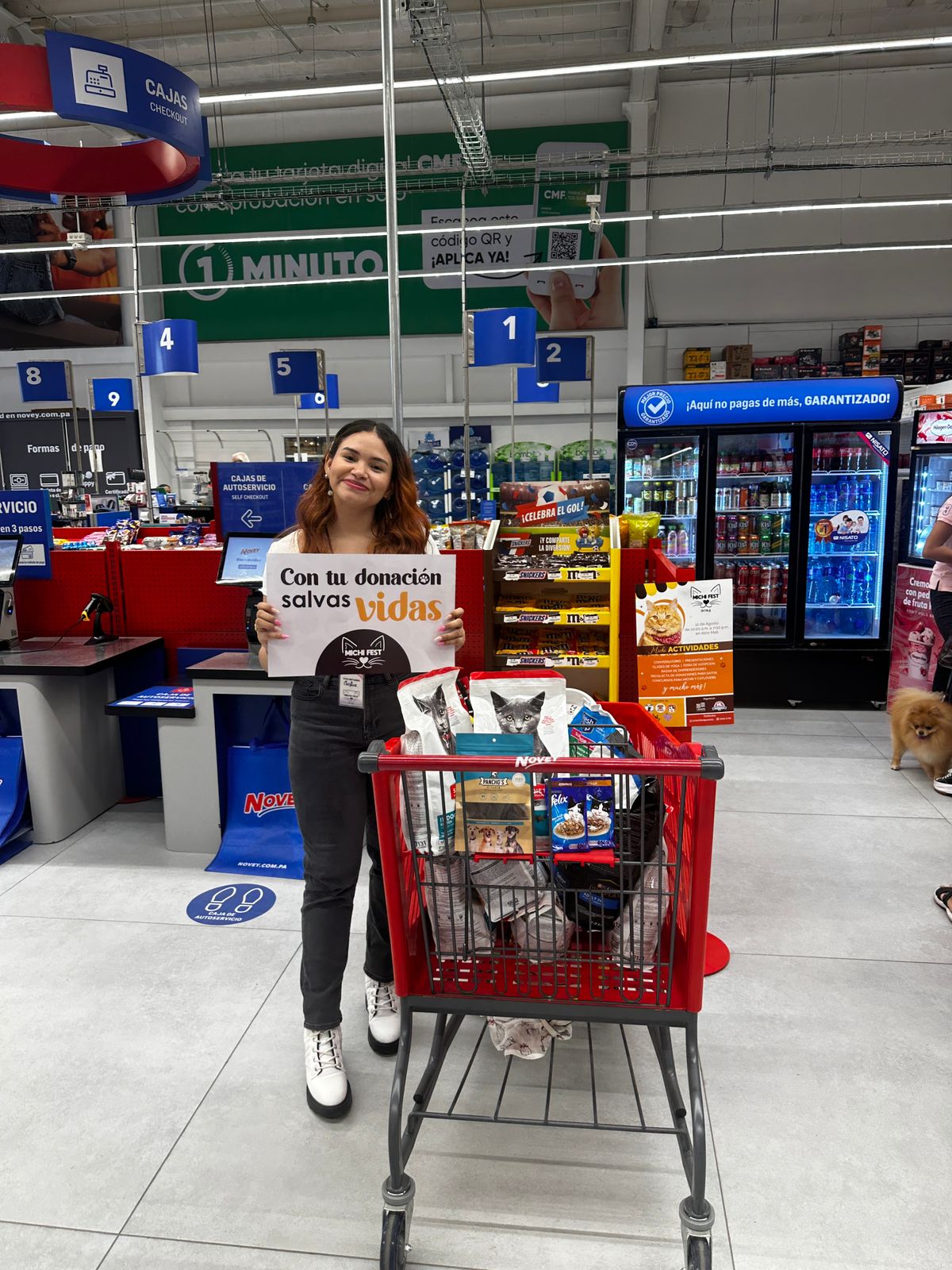 Galería - Michi Fest Panamá