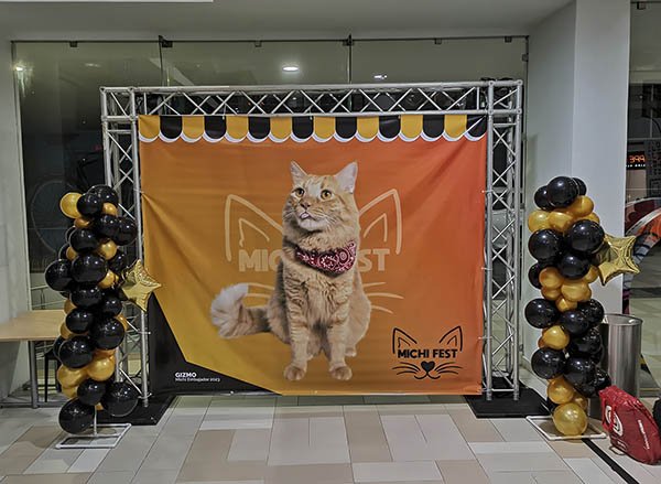 Galería - Michi Fest Panamá