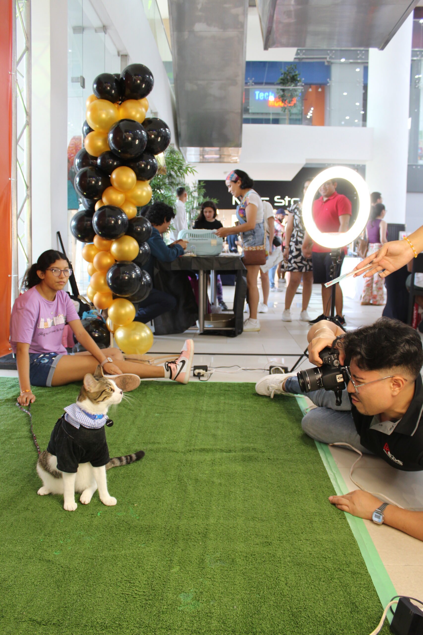Galería - Michi Fest Panamá